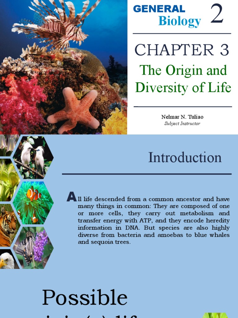 General Biology 2 - The Origin and Diversity of Life | PDF | Evolution ...