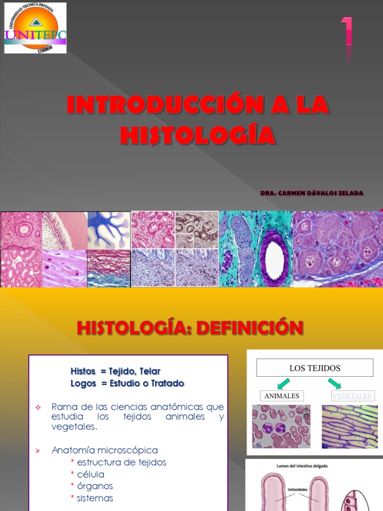 Introducción A La Histología | PDF | Tejido (biología) | Membrana celular