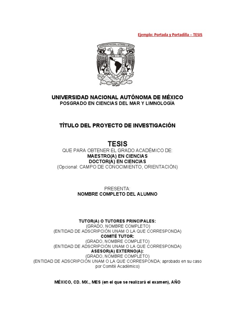 Formato Portada Portadilla Tesis-Unam | PDF