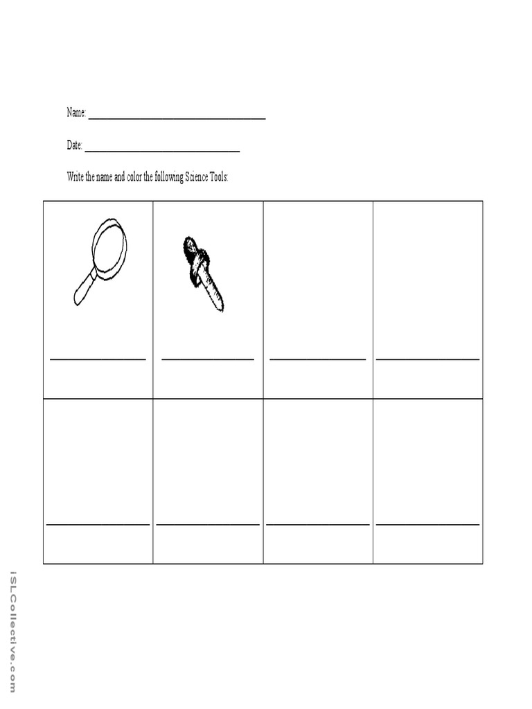 Science Tools Worksheet | PDF