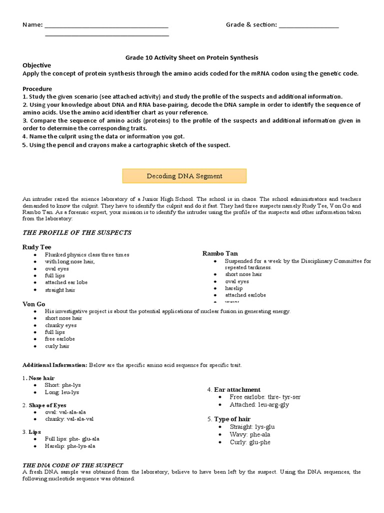 Protein Synthesis Activity | Download Free PDF | Translation (Biology ...
