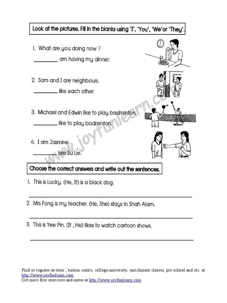 Y1 Grammar Exercises | PDF | Educational Institutions | School Types