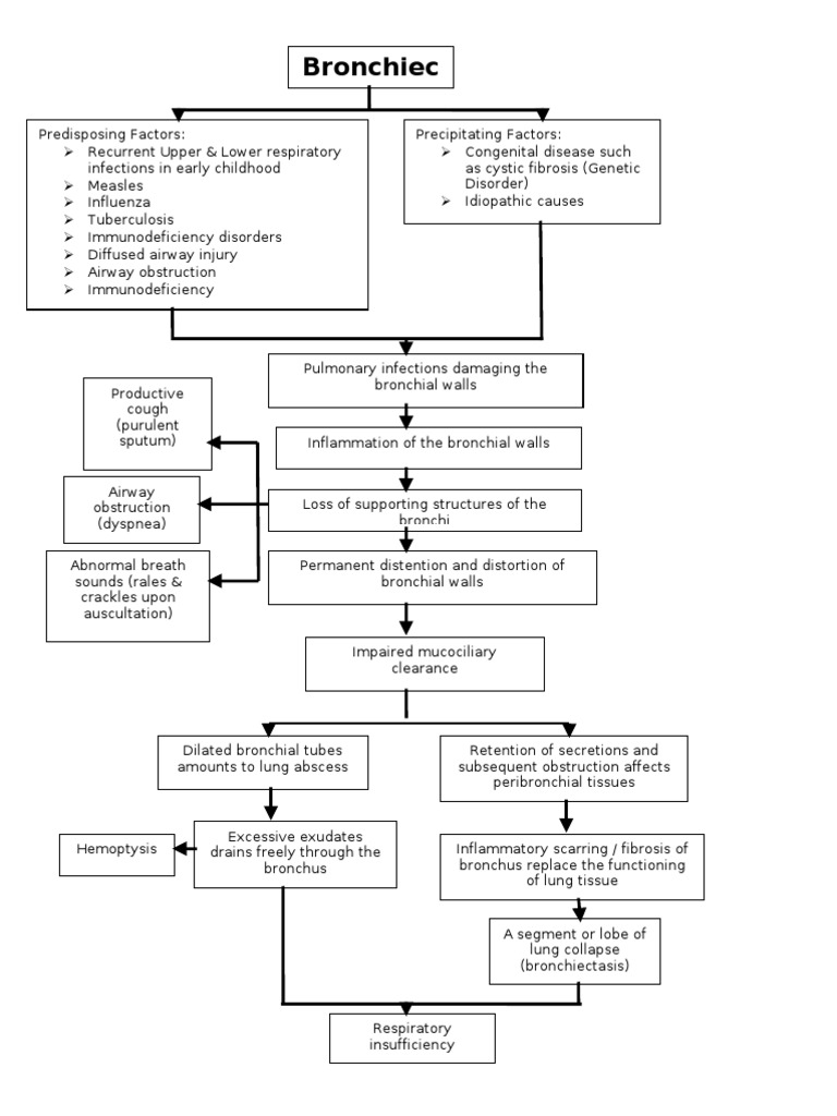 Bronchiectasis Pathophysiology | Respiratory Diseases | Lung