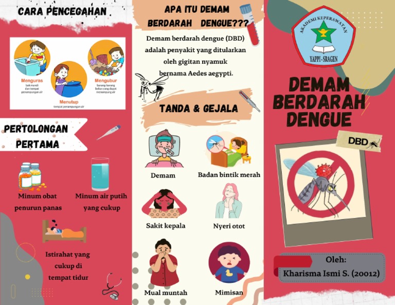 Leaflet DBD PDF | PDF