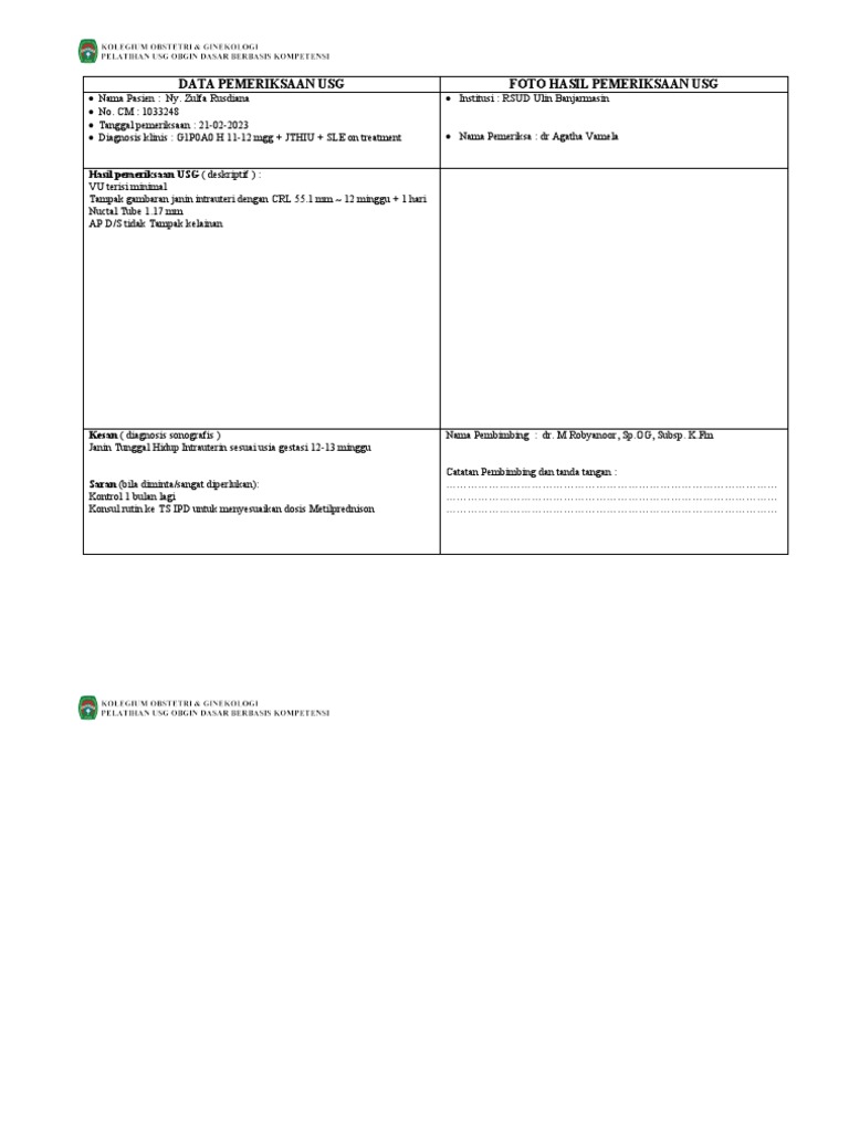 Data Pemeriksaan Usg Foto Hasil Pemeriksaan Usg | PDF