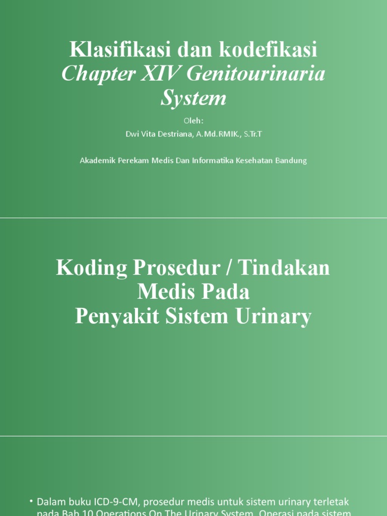 13.klasifikasi Dan Kodefikasi Chapter XIV Genitourinaria System | PDF