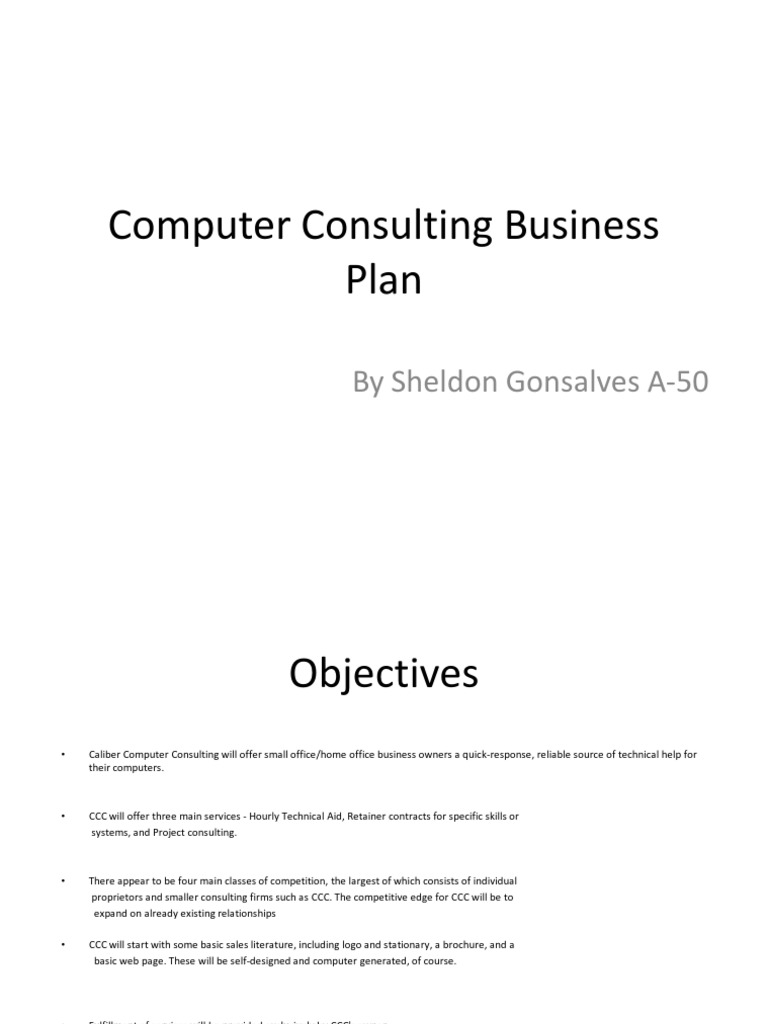 Starting a Computer Consulting Business | PDF
