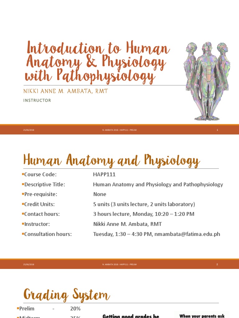 Anatomy and Physiology Overview | PDF | Human Body | Anatomy