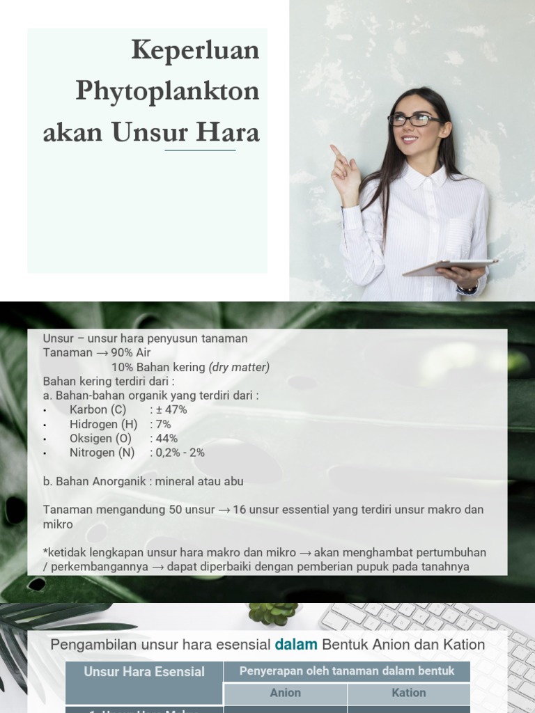 Keperluan Phytoplankton Akan Unsur Hara | PDF