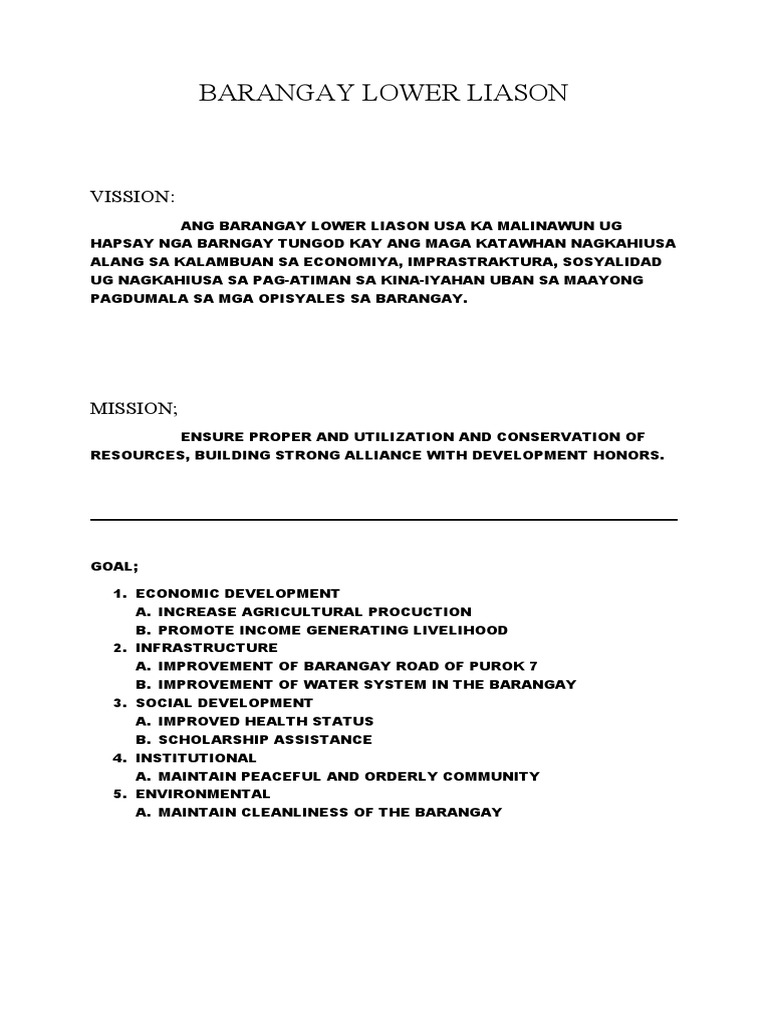 VISSIONMISSION Lower Liason | PDF