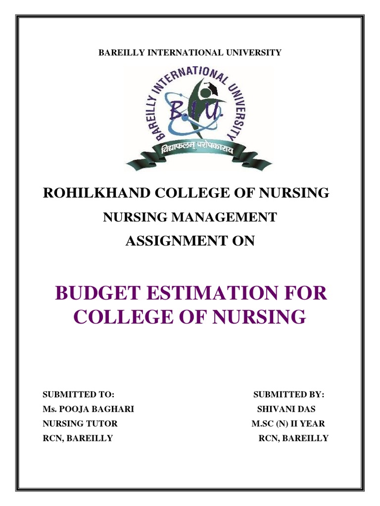 Budget Estimation | PDF | Budget | Nursing