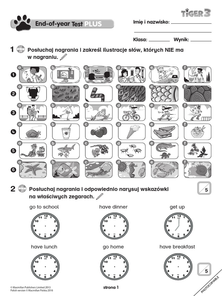 Tiger 3 Endofyear Test PLUS | PDF