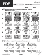 Test Diagnostyczny Z Języka Angielskiego - 4 Klasa | PDF