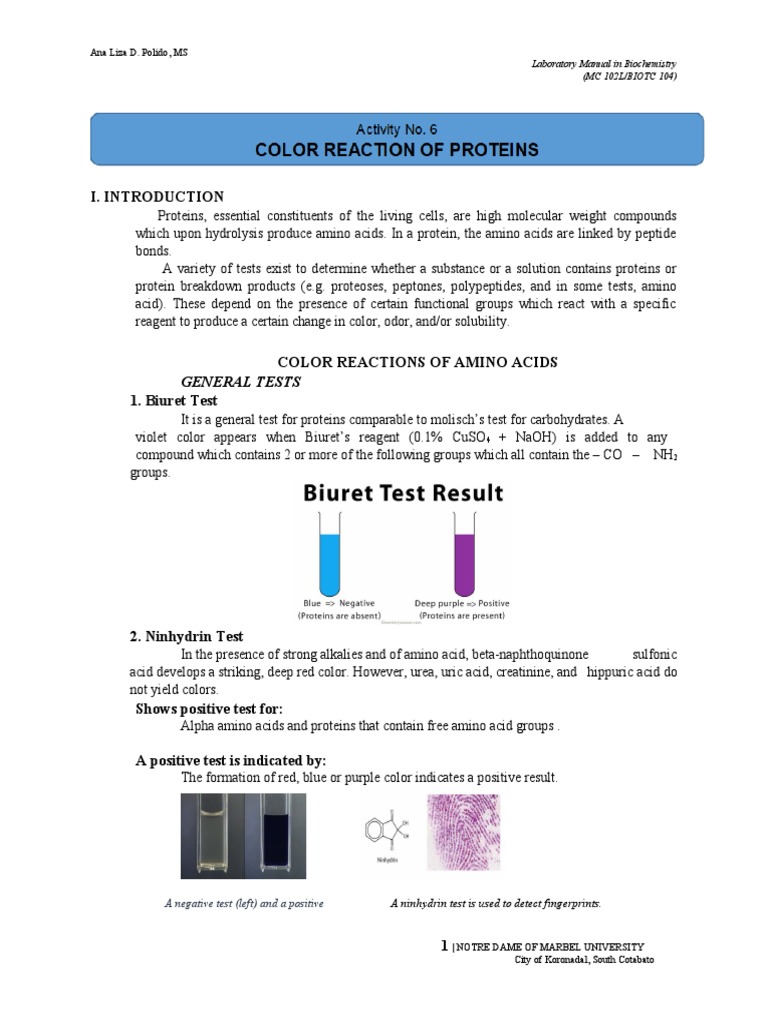 Laboratory Activity 4 Proteins | PDF | Acid | Chemistry
