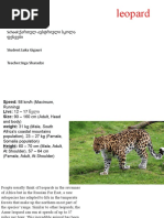 Amur Leopard - Endangered Species | PDF | Leopard | Organisms