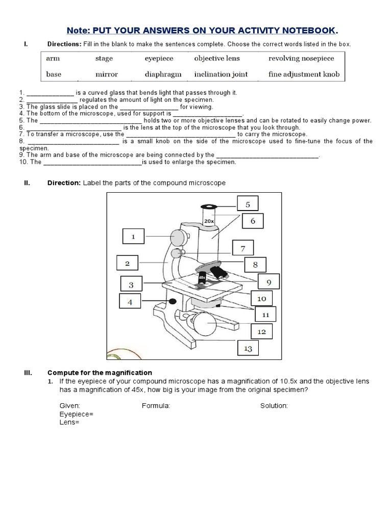 Activity for Microscope Grade 7 | PDF