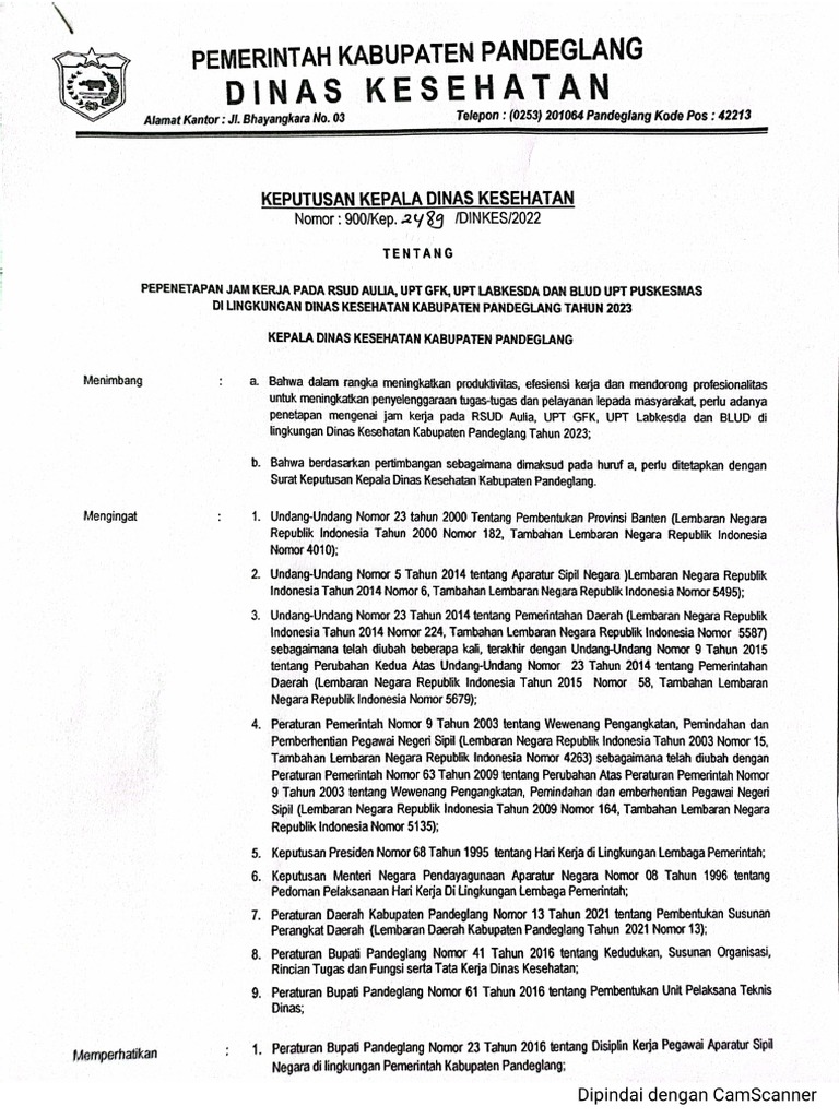 SK Jam Kerja Dinkes PDF | PDF