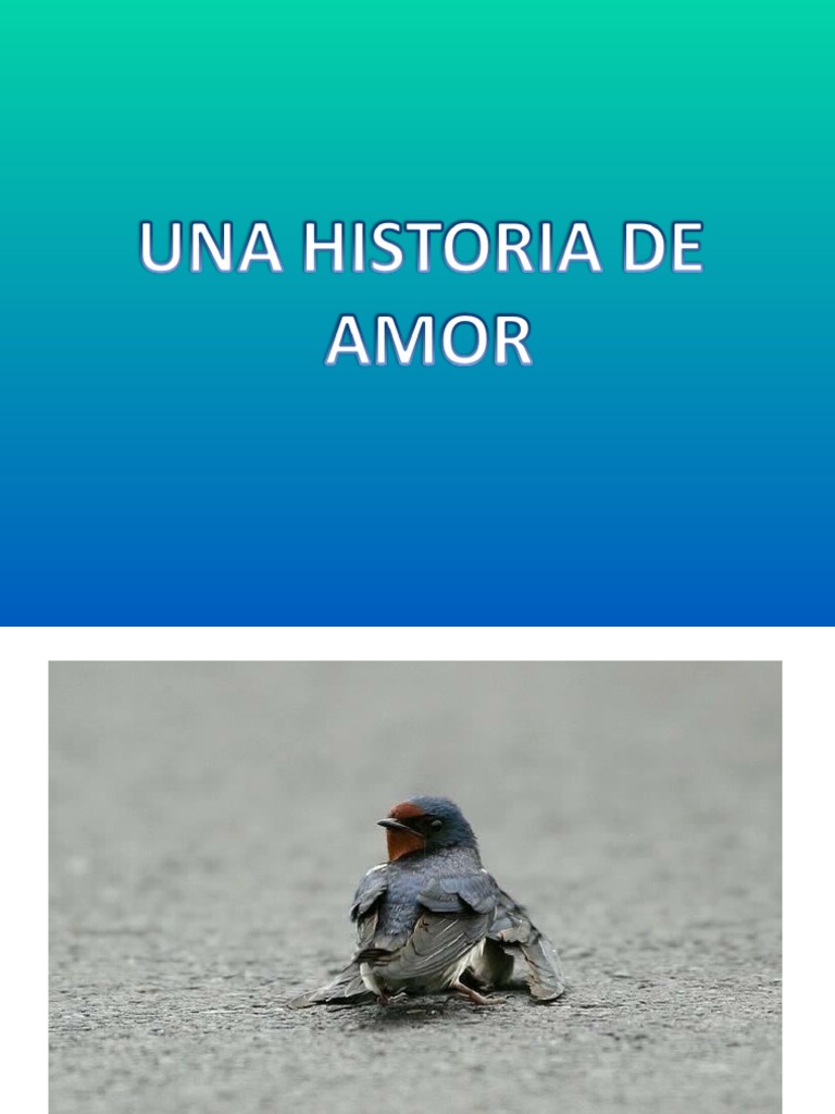 Amor y pérdida en tiempos difíciles | PDF