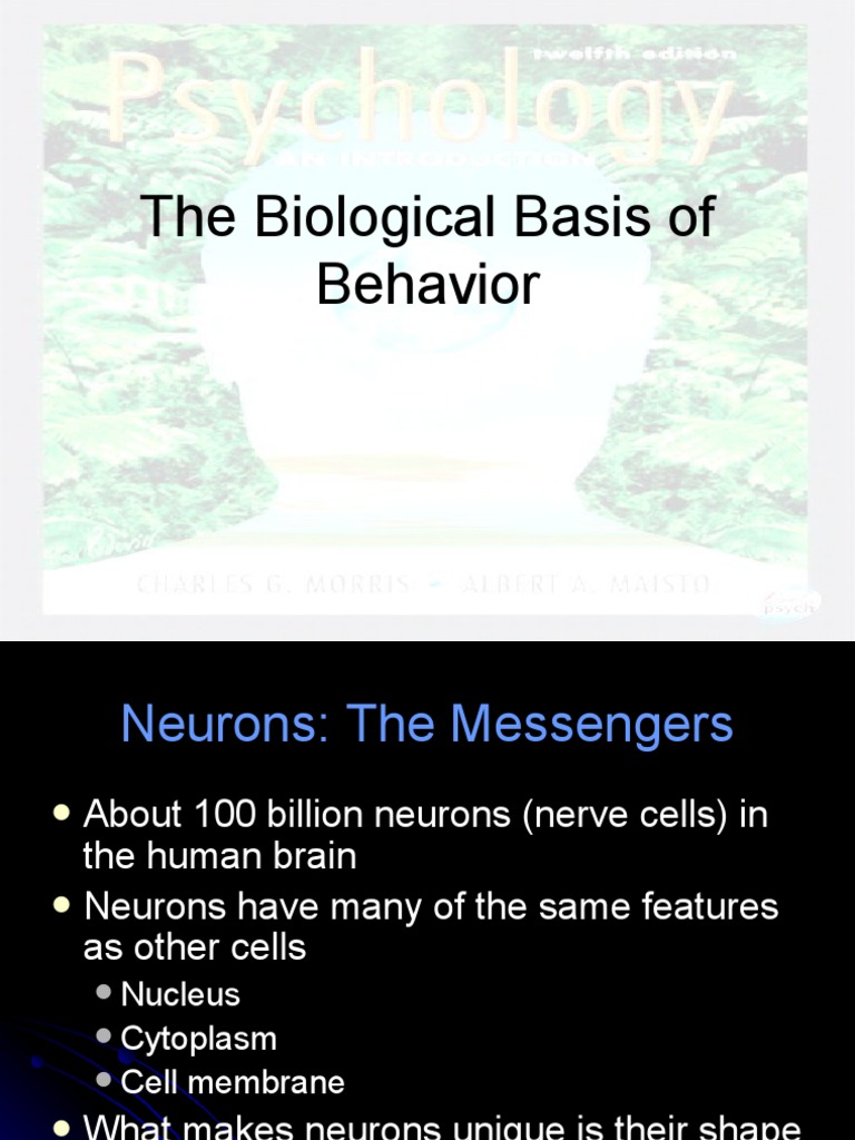 Psychobiologic Bases of Behavior | PDF | Neuron | Neurotransmitter