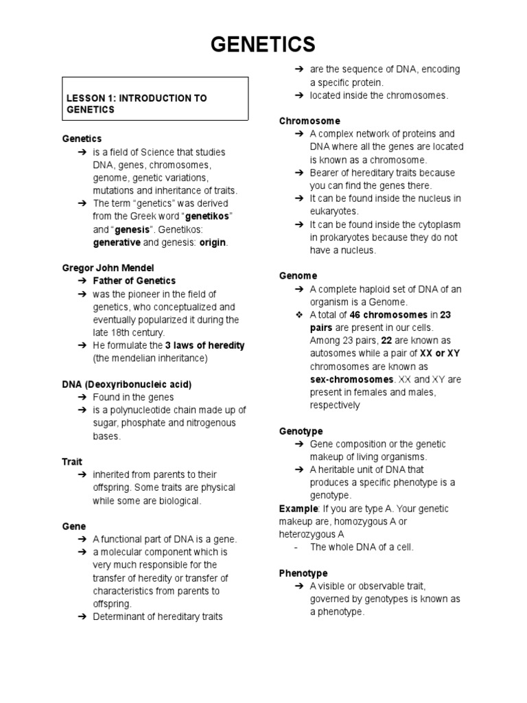 Genetics Midterm Pdf Cell Signaling Mitosis