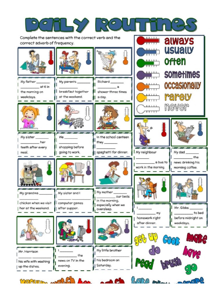 Daily Rotine Frequency | PDF