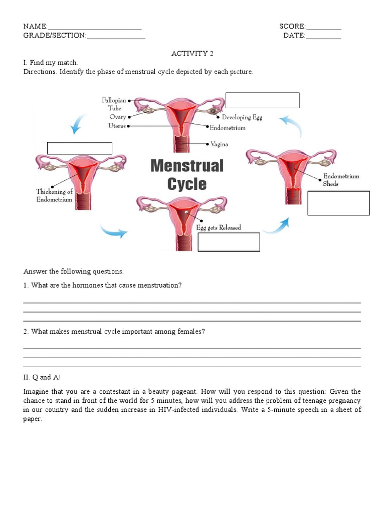 Teen Health & Menstrual Education | PDF