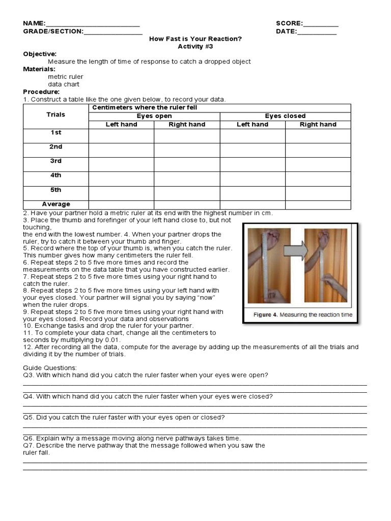 Measuring Reaction Times and Nerve Pathways | PDF