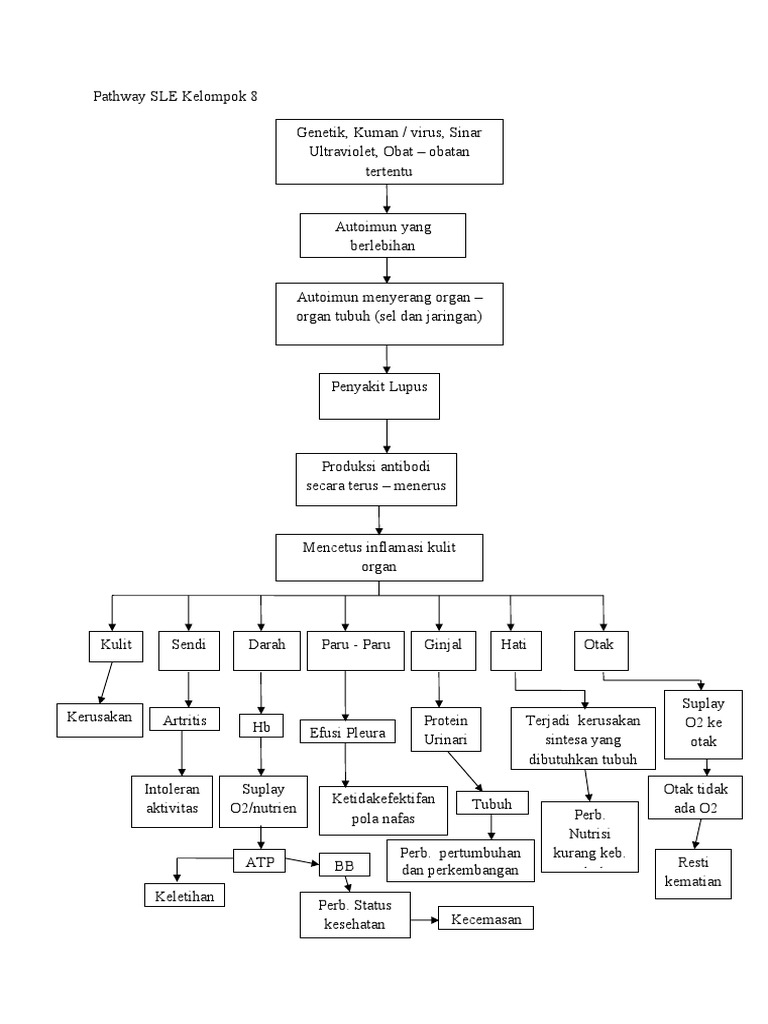 Pathway Penyakit Lupus SLE | PDF
