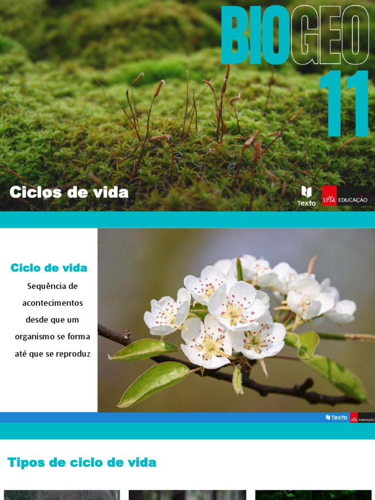Ciclos de Vida PDF | PDF | Meiose | Ploidia