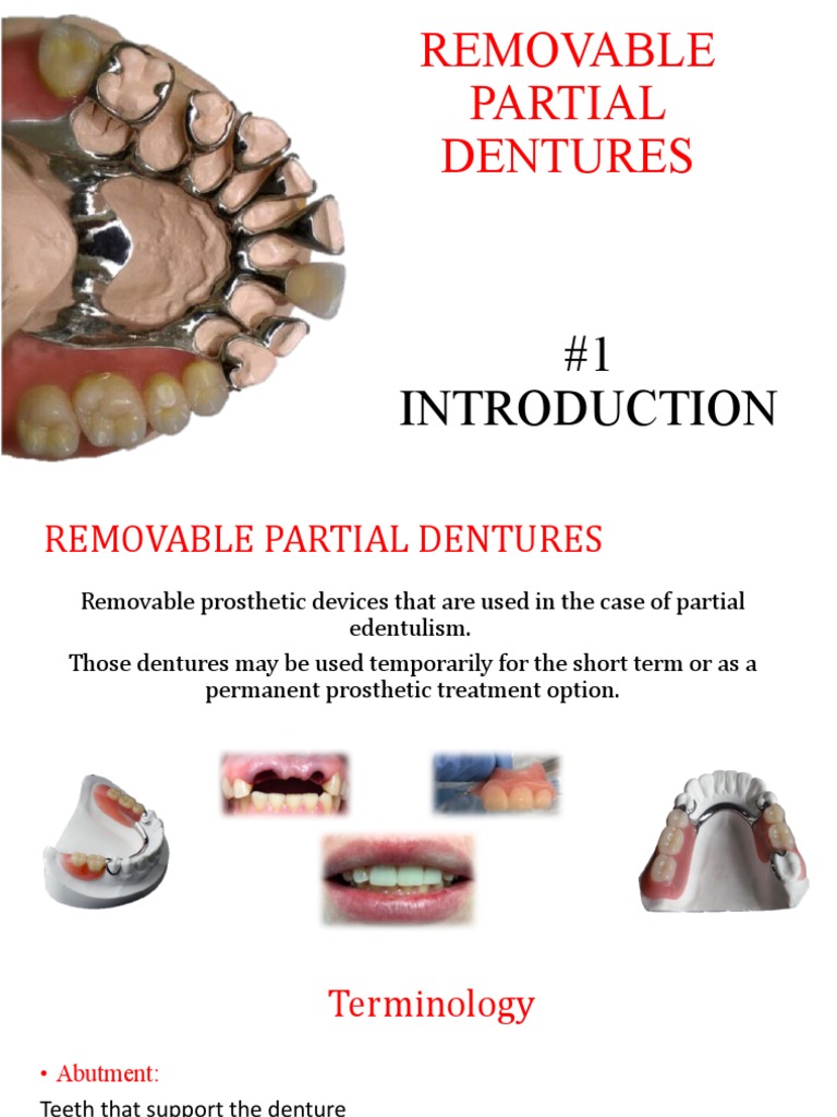 Intro | PDF | Dentures | Dental Anatomy