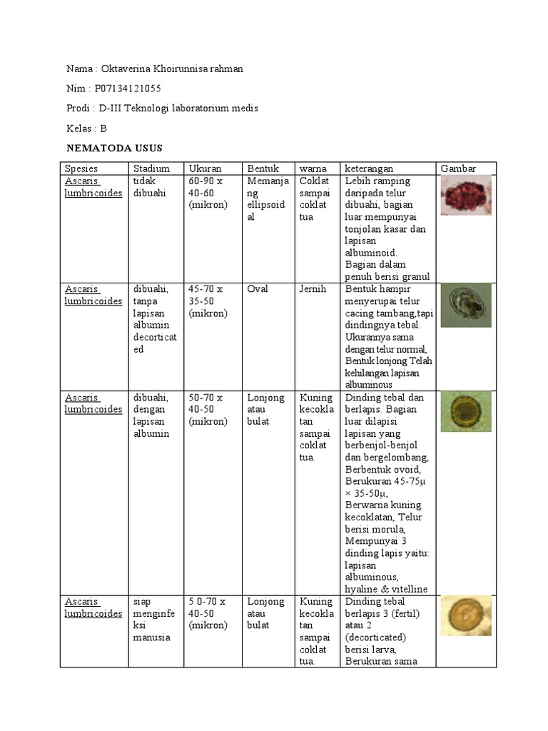 Panduan Telur Parasit Usus | PDF