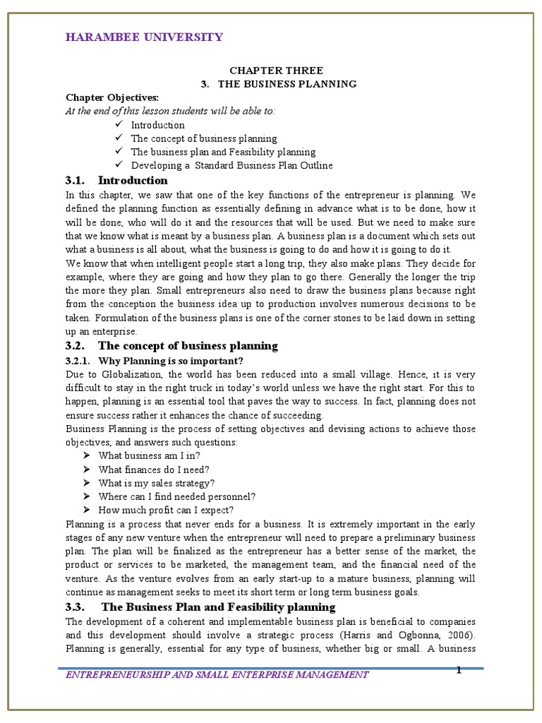 Entreprunership Chapter 3 | PDF | Entrepreneurship | Business Plan