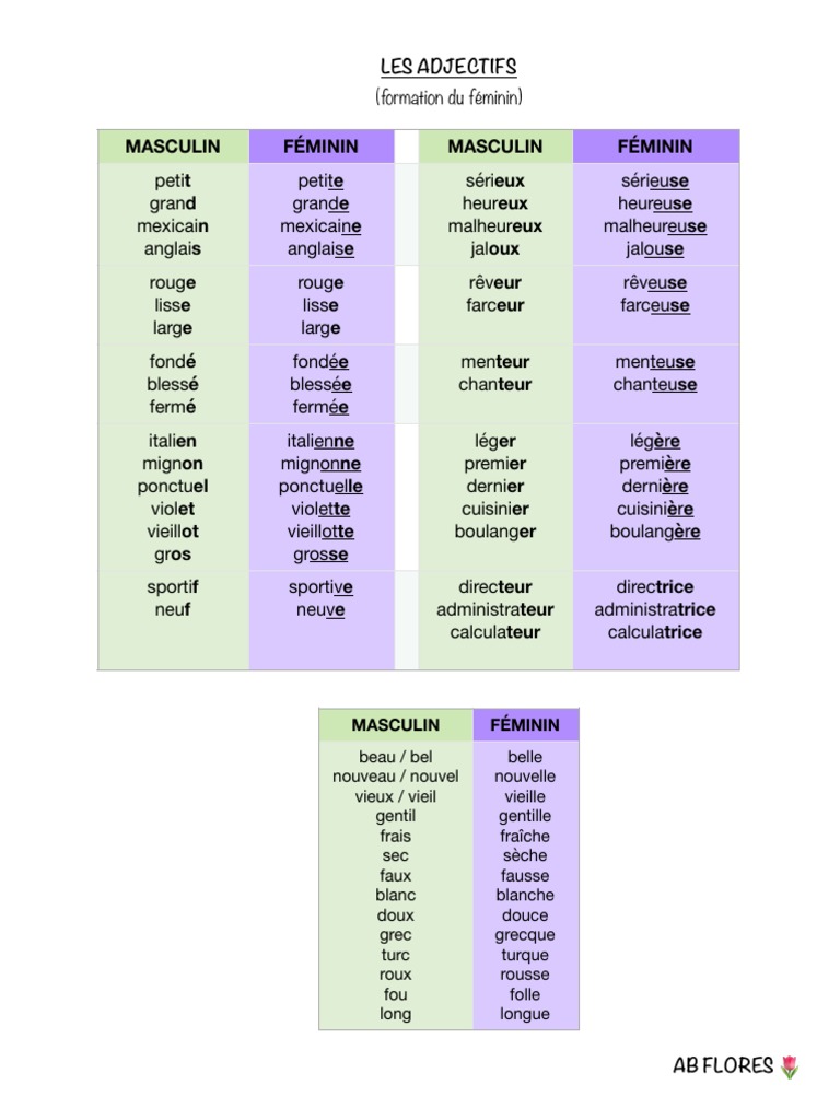 Les Adjectifs Qualificatifs | PDF