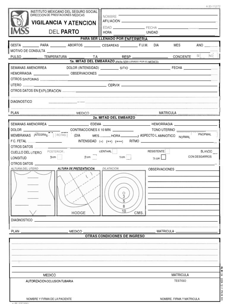 Formato de Partograma IMSS para Imprimir | PDF | Parto | El embarazo