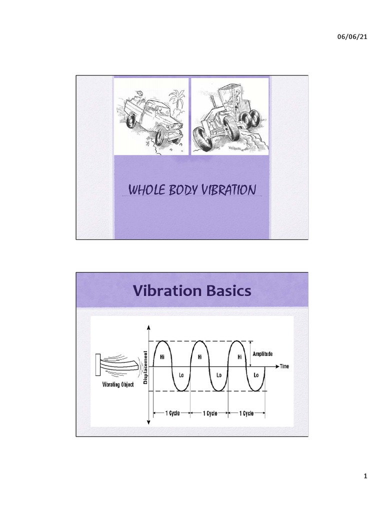 Whole Body Vibration Assessment Guide | PDF