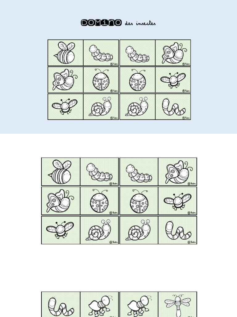 Domino Des Insectes PDF | PDF
