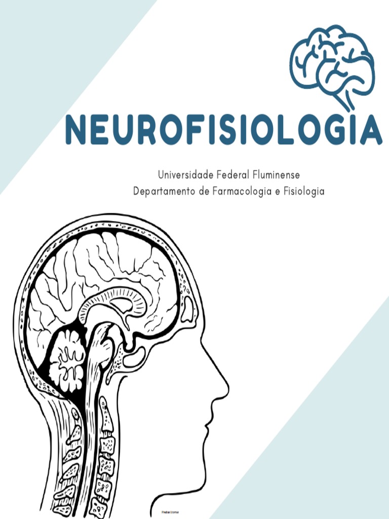 Neurofisiologia | PDF | Cérebro | Dor