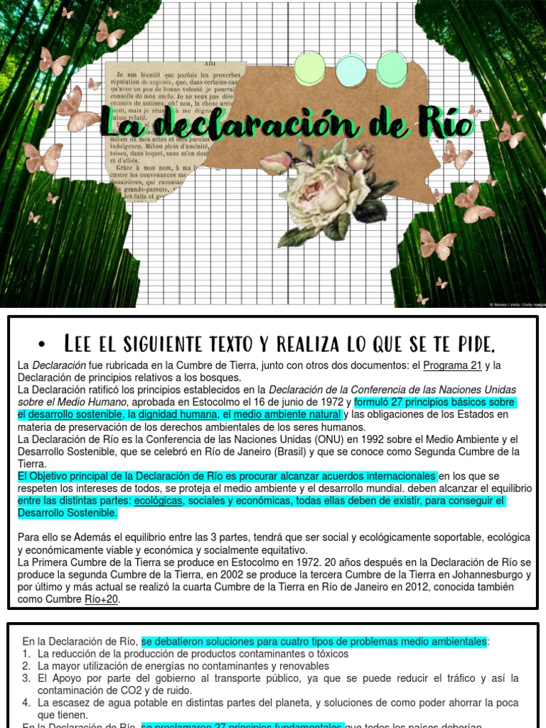 Actividad Declaración Del Río | PDF | Entorno natural | Ciencias ...