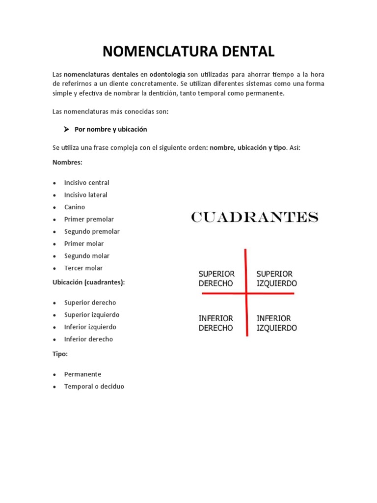 Una Descripción Completa de los Sistemas de Nomenclatura Dental | PDF | Diente | Ramas de ...