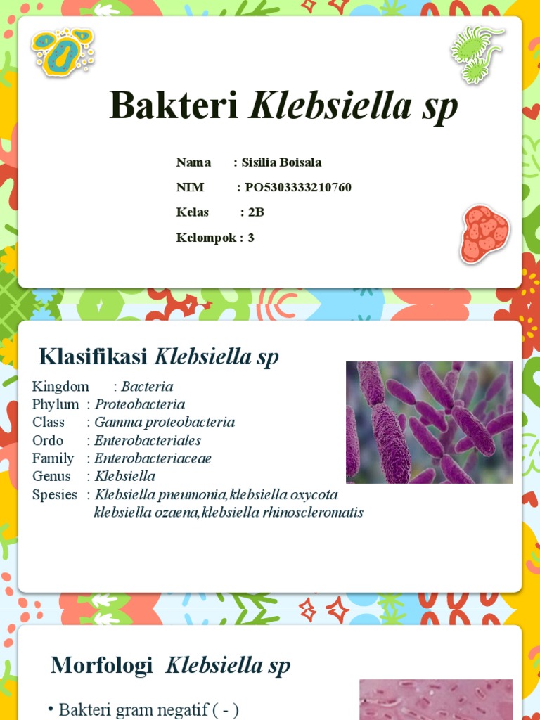Bakteri Klebsiella Sp. 3B | PDF | Memasak, Makanan, & Anggur ...