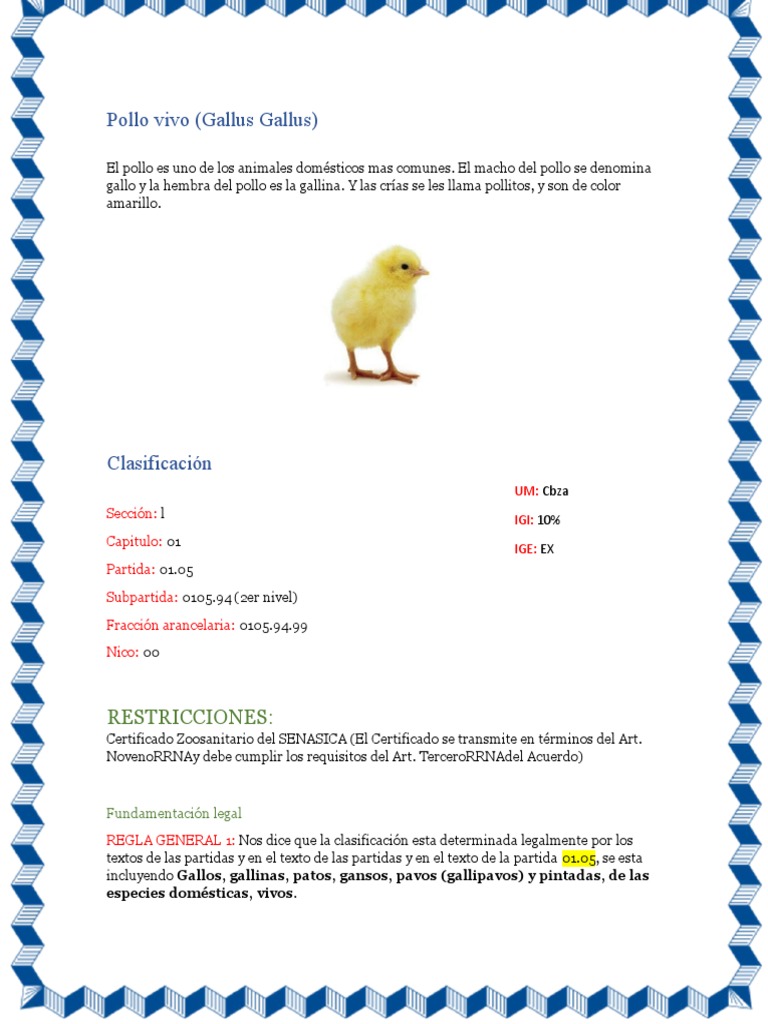 Pollo Vivo | PDF