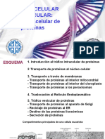 Etapas del Proceso PCR Detalladas | PDF | Reacción en cadena de la ...