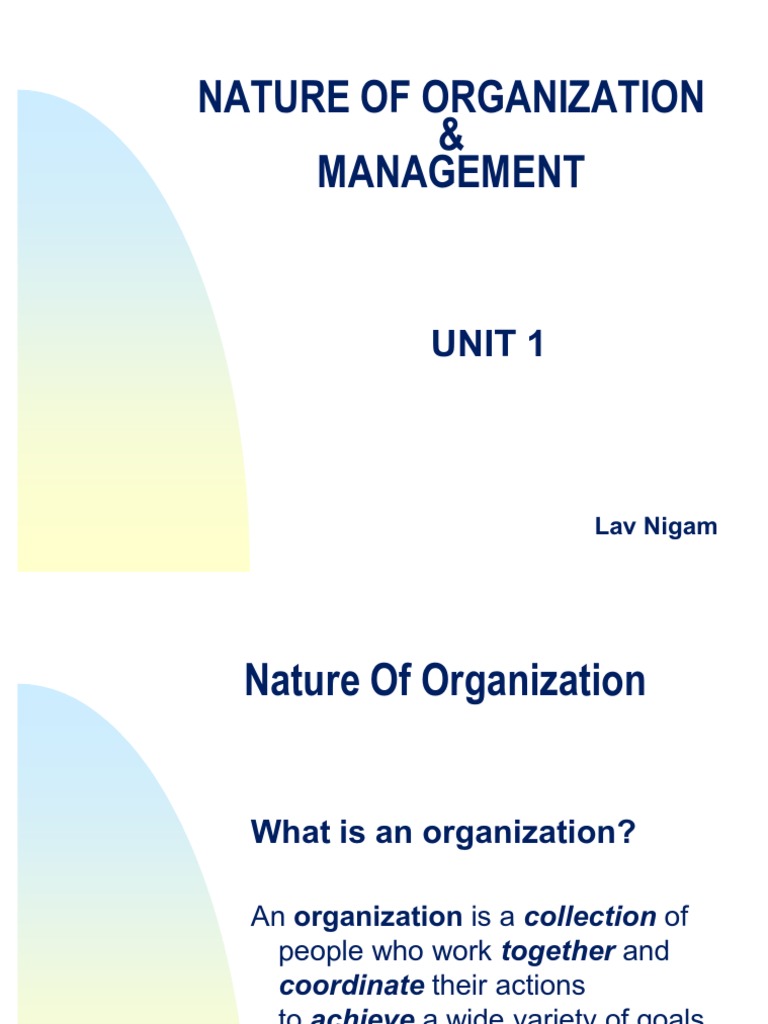 Understanding Organization in Management | PDF | Organizational ...