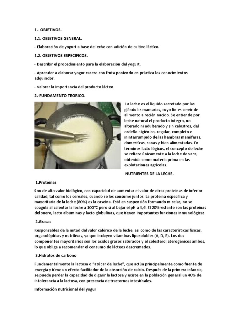 Proyecto de Elaboración de Yogurt Casero | PDF | Leche | Yogur