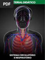 Atividade de Ciencias Sistema Circulatorio 4 e 5 Ano Modelo Editavel | PDF