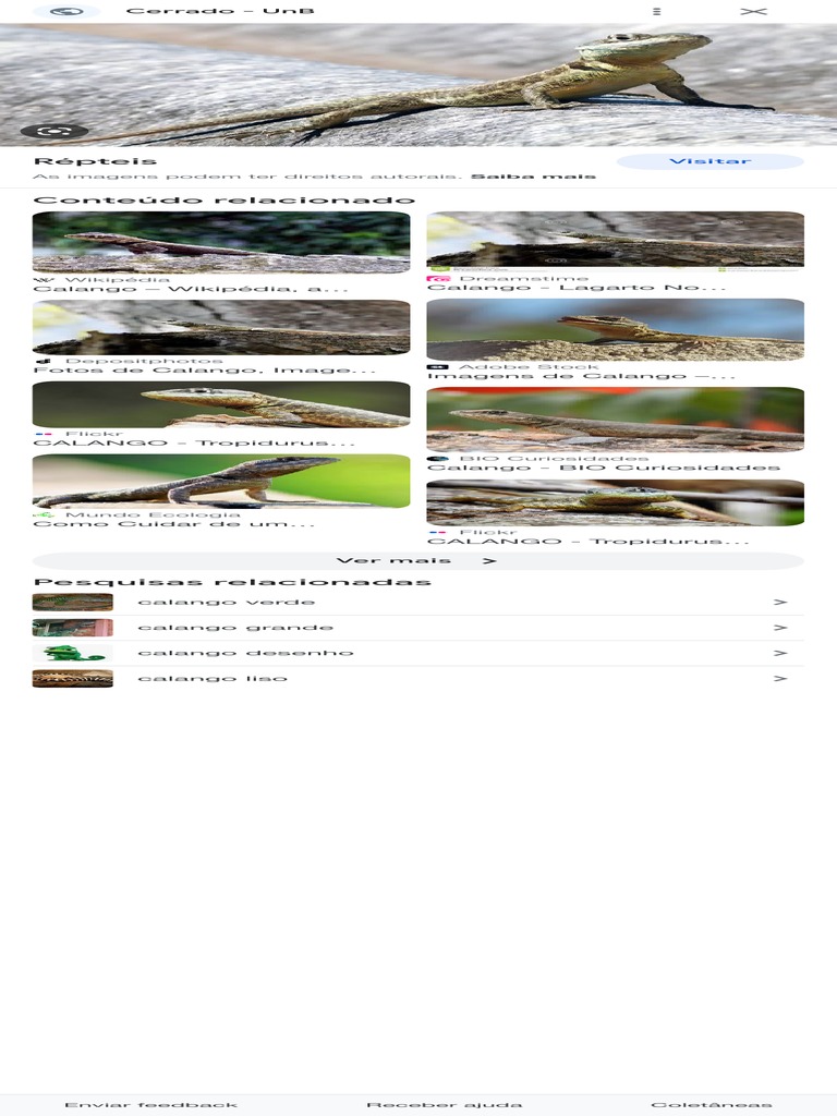 largato lango lango - Pesquisa Google.pdf | PDF