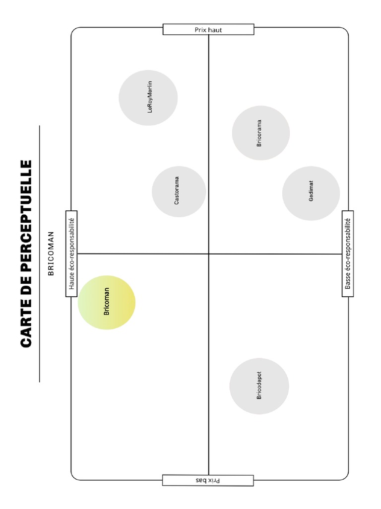 Carte Perceptuelle | PDF