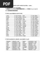 Samostalnik - Vaje 1 | PDF