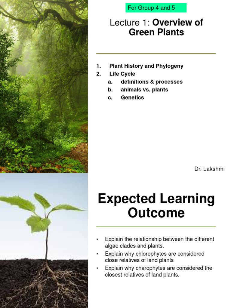 Lecture 1 Pdf Pdf Plants Nature