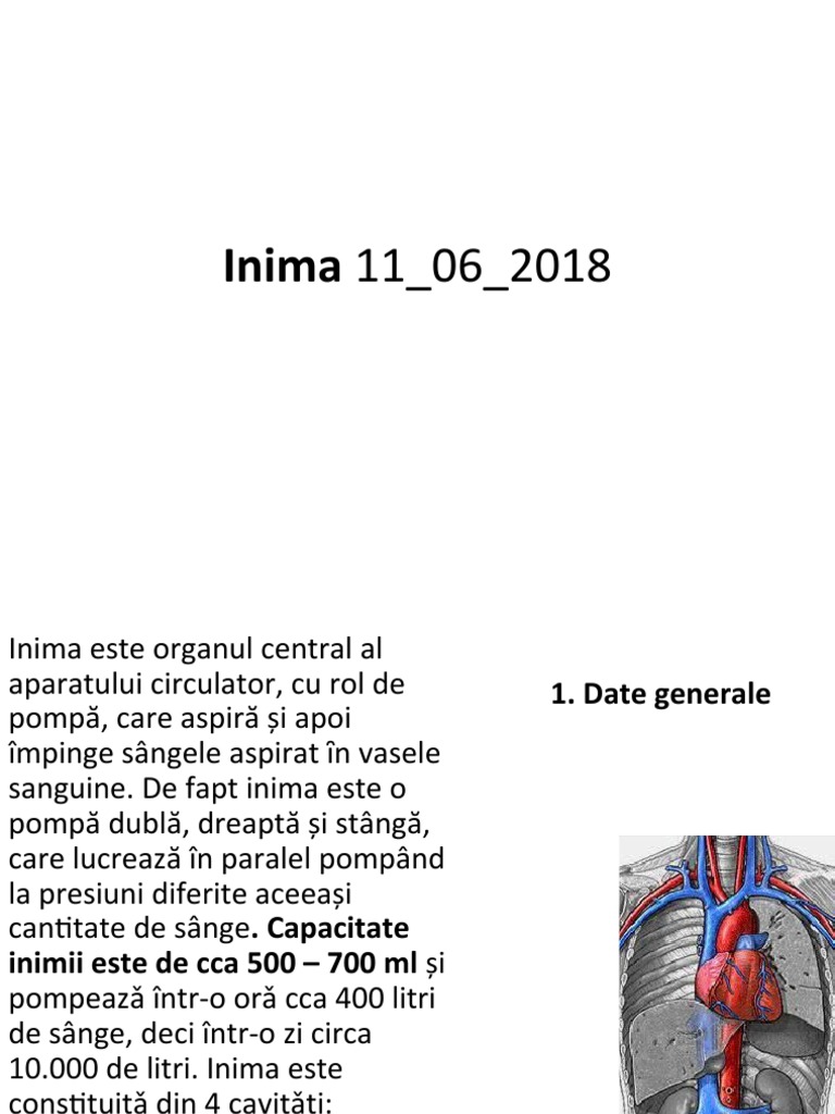 1 Inima | PDF